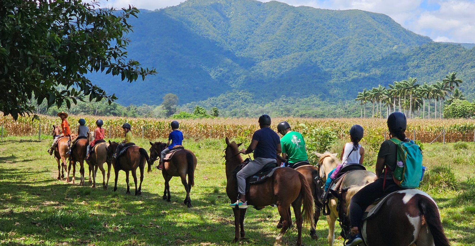 UpClose Belize | Creating your best Belize vacation